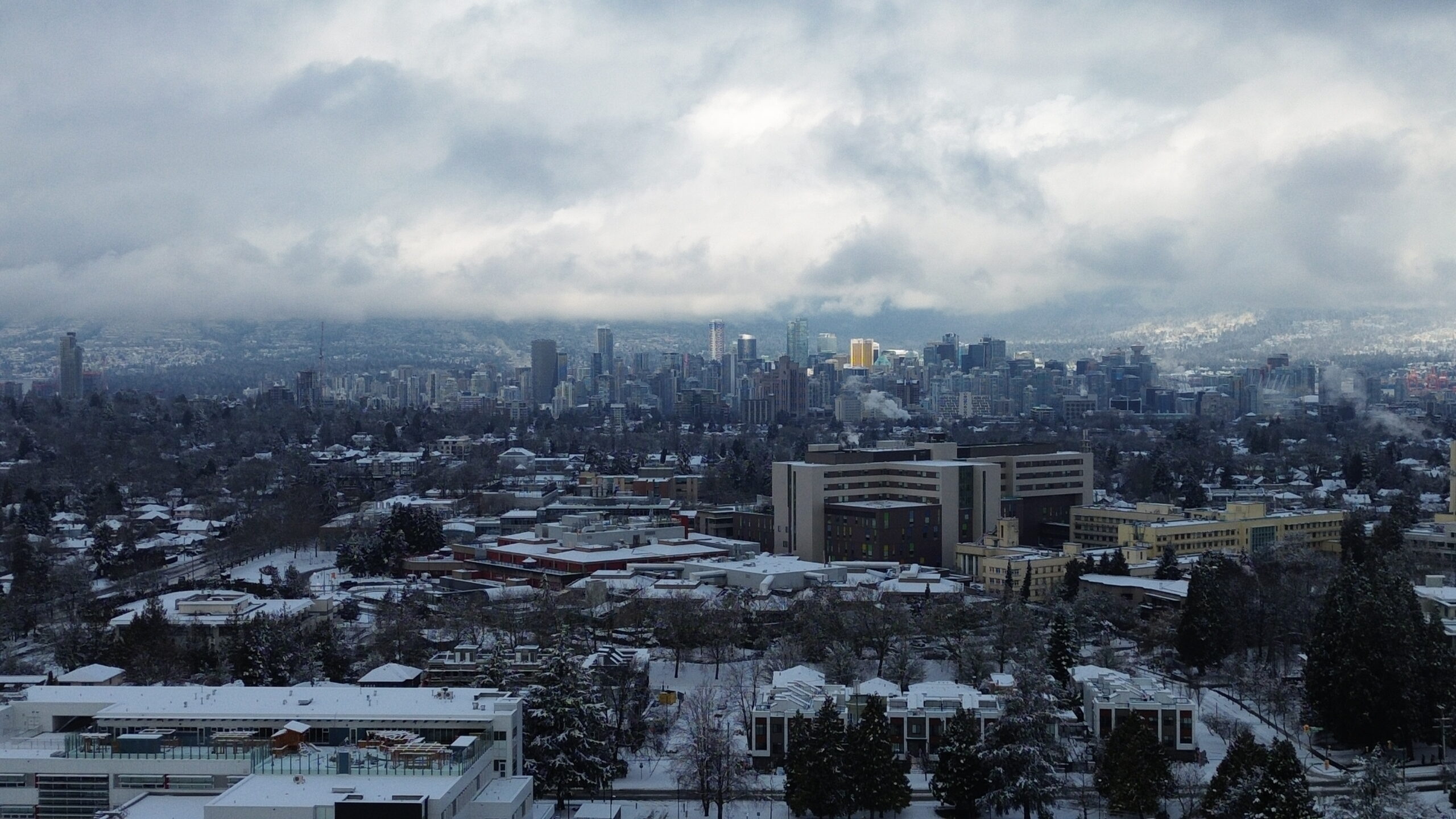 Portfolio Update: January 2025 | Sanket Karve